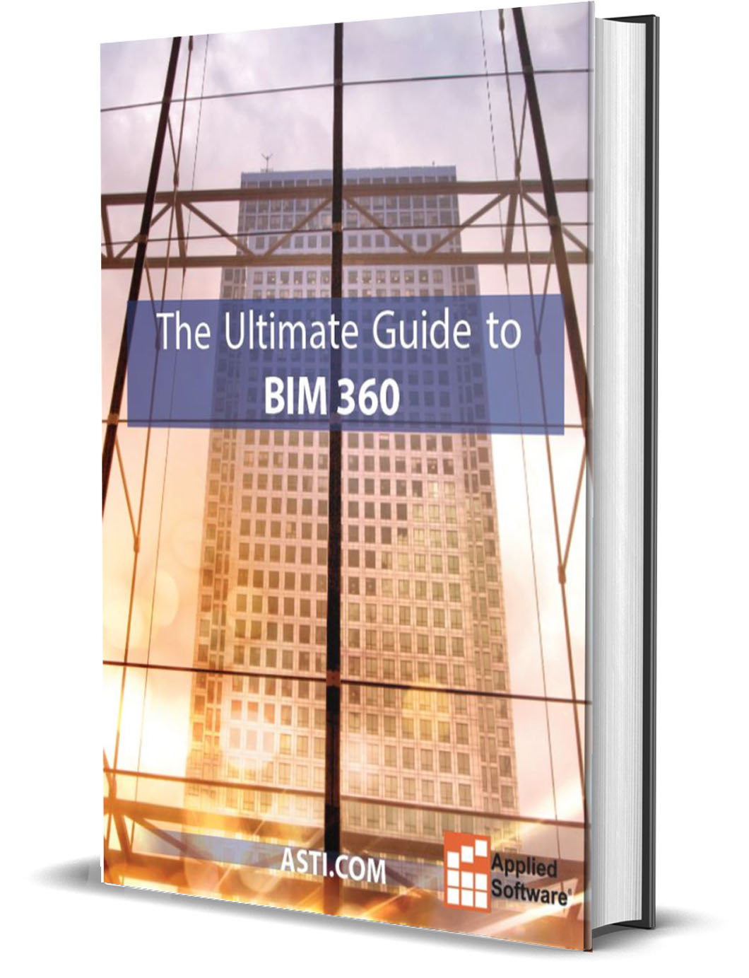 Definitive Guide to BIM 360